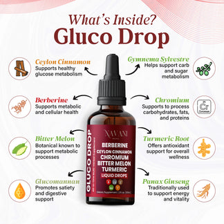 Gluco Drop Blood Sugar Regulator – NAVANI